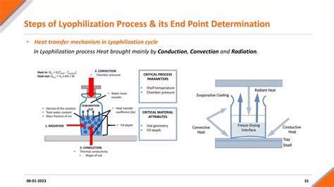 Lyophilizationpptx
