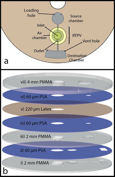 Microfluidic Disk Design A A Design A Consists Of A Source Chamber