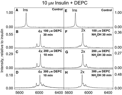 Maldi‐tof Ms Spectra Of Bovine Insulin Modified With Depc In Phosphate Download Scientific