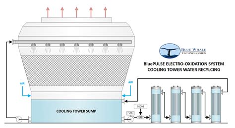 Bluepulse™ Electro Oxidation Systems Blue Whale Technologies