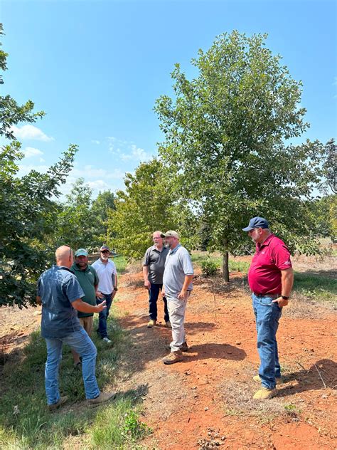 Kte On The Job Tree Tagging [august 2024] Kt Enterprises Inc