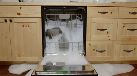 Dishwasher Overflow Service