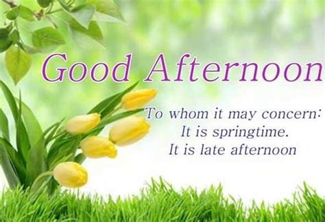 100 Happy Monday Images And Greetings Tiny Positive