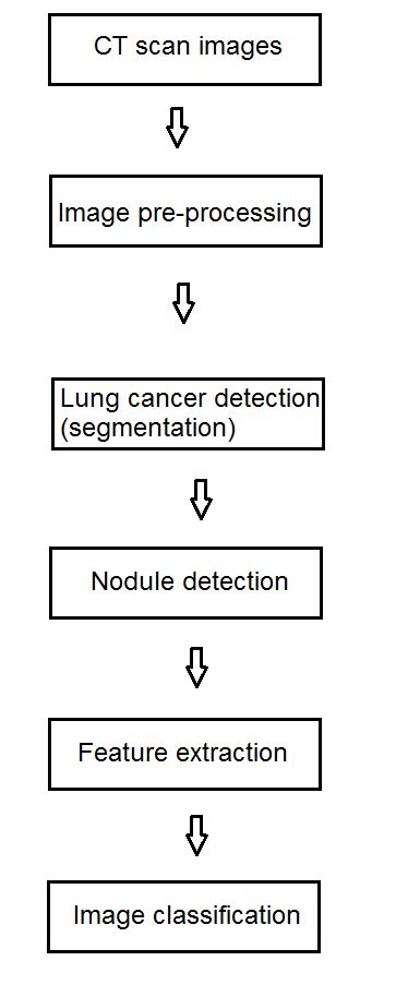 A Flowchart Describing The Model Design With Features Download Scientific Diagram
