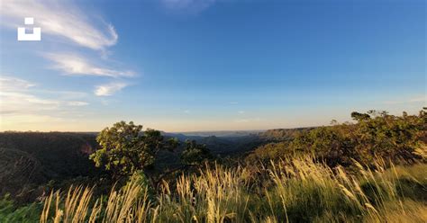 나무와 푸른 하늘을 배경으로 한 풀밭 사진 Unsplash의 무료 브라질 이미지