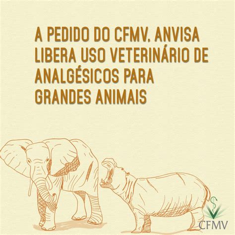 Anvisa Libera Uso Veterinário De Analgésicos Para Grandes Animais Crmv Ba