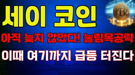 세이 코인 💥아직 늦지 않았다 눌림목 이구간 공략~ 이때 여기까지 급등 터진다~전망 시황 호재 목표가 대응 차트 분석~징기스칸 코인방송 실시간 Youtube