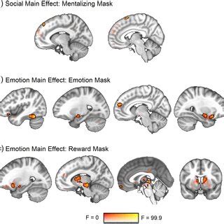 ANOVA Main Effect Result Maps From The Timedependent ISC Data Download Scientific Diagram