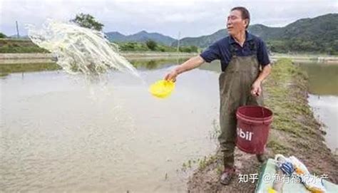 水产养殖中常见的车轮虫病如何预防和治疗 知乎