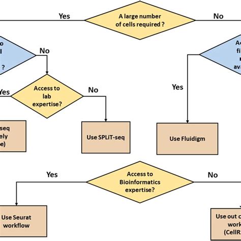 How To Choose The Best Scrna‐seq To Suit Your Project Needs The Main