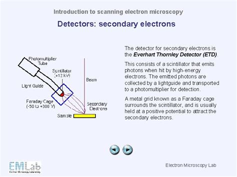 Introduction To Scanning Electron Microscopy Tutor Peter Harris