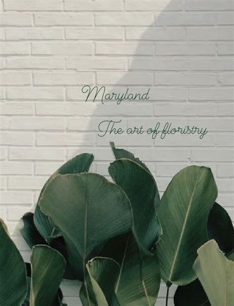 စမ်းချောင်းမြို့နယ် Ko Thet အိမ်ခြံမြေအကျိုးဆောင် Facebook