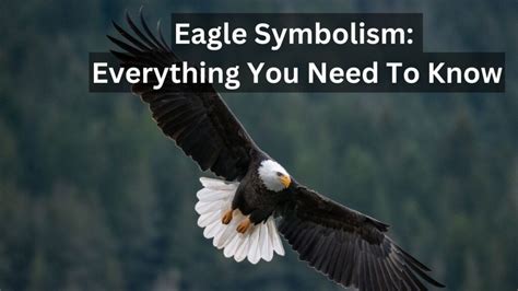 Eagle Symbolism Everything You Need To Know