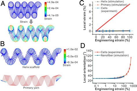 Helical Nanofiber Yarn Enabling Highly Stretchable Engineered