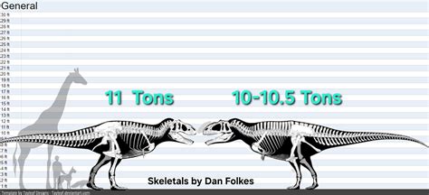 Giganotosaurus Size Comparison To T Rex