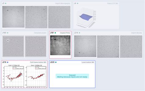 linking movies to micrographs for local motion correction motion correction cryosparc discuss