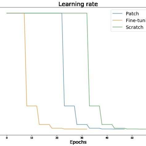 Illustration Of The Training Curves Of The Mini Unet On The Idrid