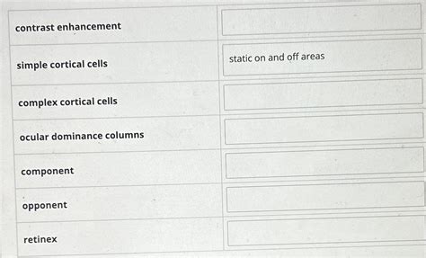 Solved Contrast Enhancementsimple Cortical Cellscomplex Chegg Com