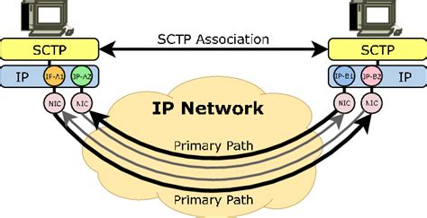 Sctp Multi Homing And Primary Paths Download Scientific Diagram