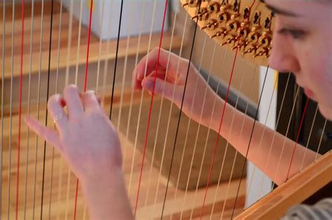 Whats The Best Lyre Harp For Beginners My Top Picks For New Musicians