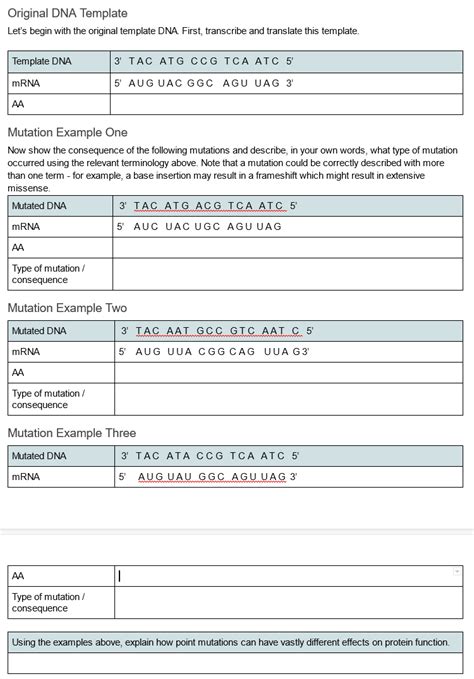 Solved Original DNA Template Let S Begin With The Original Chegg Com
