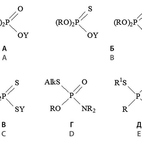 Types Of Phosphorus Group A Phosphates B Phosphorothioates C Download Scientific Diagram