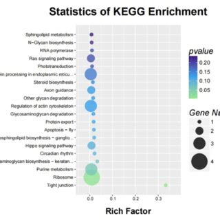 Deps Between Control And Cum Groups The Top Pathway Enrichment Of Download Scientific
