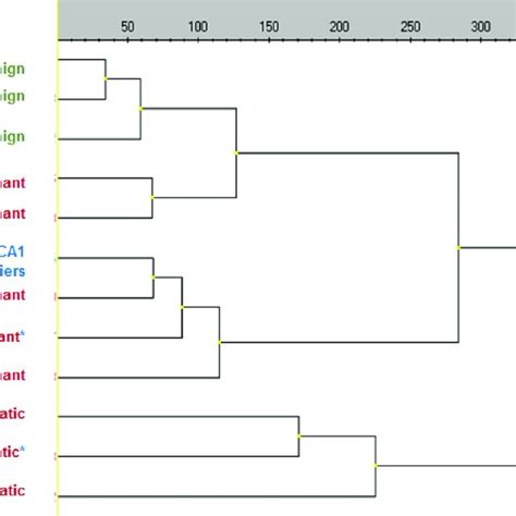 dendrogram unsupervised hierarchical clustering discovery cohort
