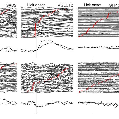Imaging Neuronal Activity During Spontaneous Behaviors A Examples Of
