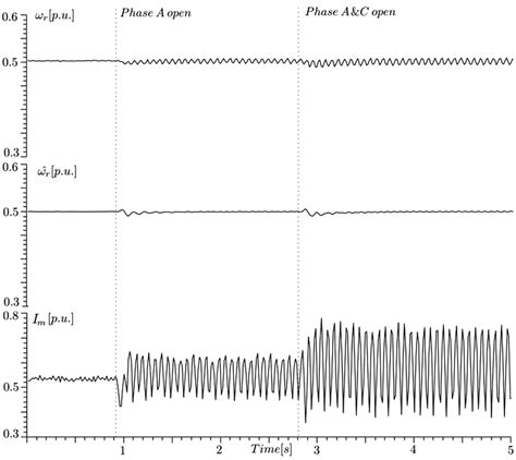 Operation Capabilities Of The Five Phase Induction Motor Drive With One