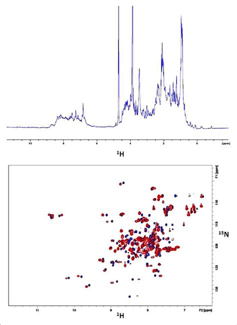 Top The 1D NMR Spectrum Without 15 N Decoupling Of 15 N HCaM With Download Scientific