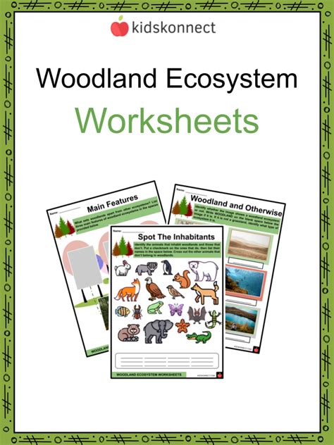 Interactions In Ecosystem Worksheet Wordmint Worksheets Library