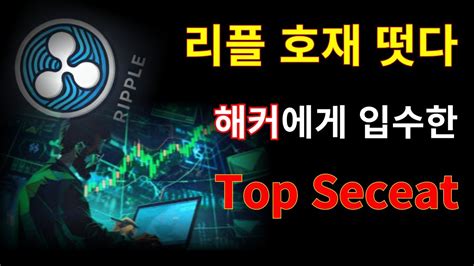 리플 전망 리플 호재 떳습니다 해커에게 입수한 고급정보 리플 리플전망 리플코인 리플분석 코인 코인전망 가상화폐