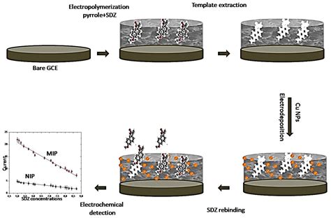 Electrochemical Sensor Theory At Jennie Wilson Blog