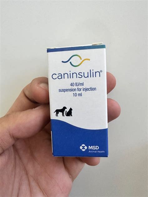 Caninsulin Vetsulin Pet Supplies Health And Grooming On Carousell
