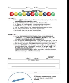 M M Inference Observation Lab By MisterBee S Best And Fun Science Resources