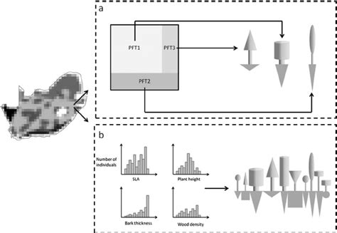 The Representation Of Vegetation In Two Classes Of Dynamic Vegetation Download Scientific
