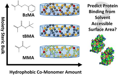 Design Of Synthetic Hydrogel Compositions For Noncovalent Protein Recognition Acs Applied