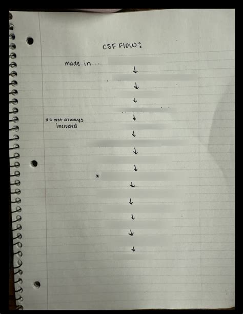CSF Flow Diagram Quizlet