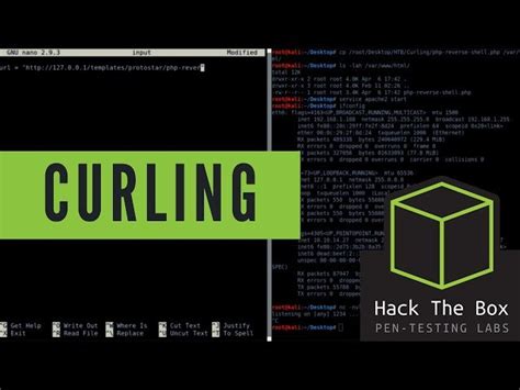 Free Video Hackthebox Curling Walkthrough From Hackersploit Class Central