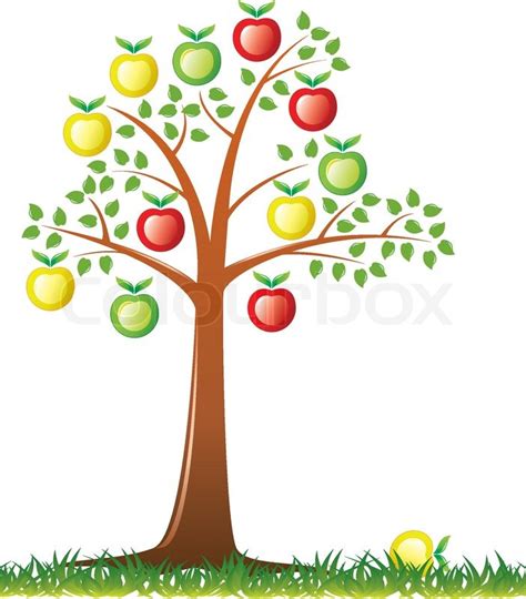 Fruit Trees Home Gardening Apple Cherry Pear Plum Tree With Fruits Clipart