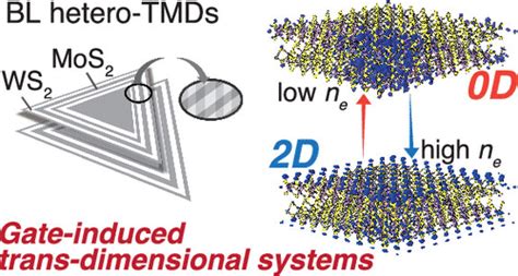 Gate Induced Trans Dimensionality Of Carrier Distribution In Bilayer Lateral Heterosheet Of Mos2