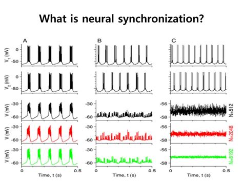 Ppt Neural Synchronization Powerpoint Presentation Free Download