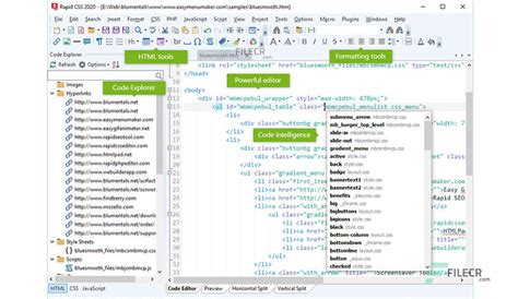 Blumentals Rapid Css 2025 V1840270 Filecr