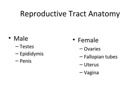 Kin 191 B Abdomen And Thorax Anatomy And Evaluation Ppt