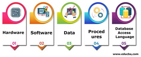 Introduction To DBMS Components Characteristics Applications
