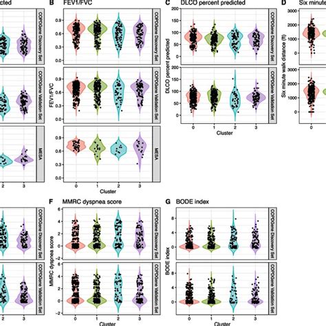 Clinical Measures Of Disease Severity And Symptoms Including A Fev1 Download Scientific