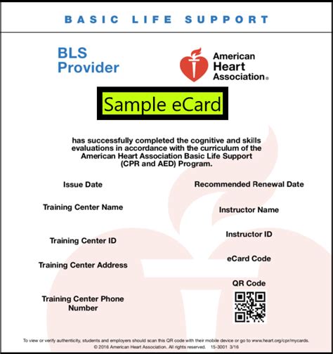 Bls Certification San Diego American Heart Association Bls Class San