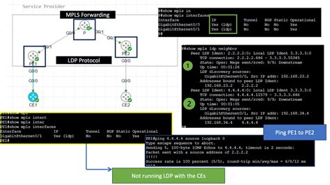 Ip Forwarding And Routing Protocols