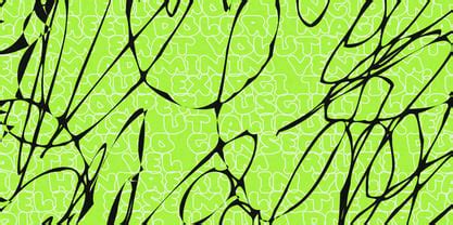 Wild Fat Font Webfont Desktop MyFonts